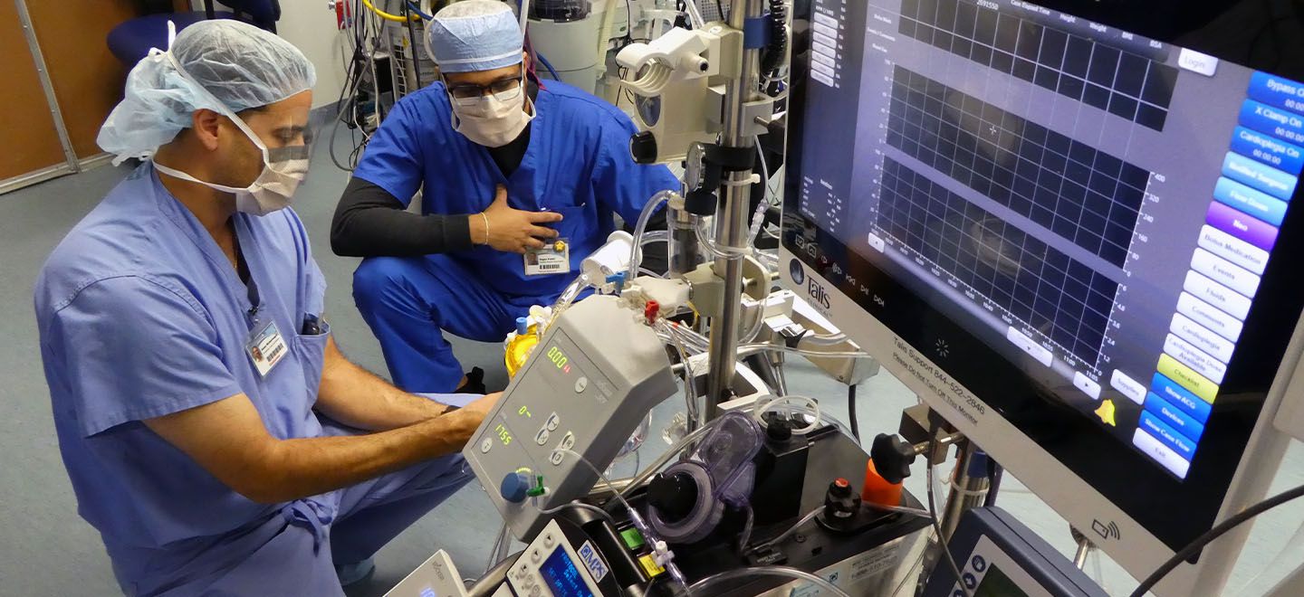 Cardiovascular Perfusion